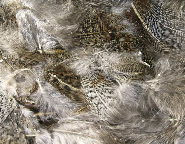 Premium Hungarian Partridge Feathers - Wilkinson Fly Fishing LLC